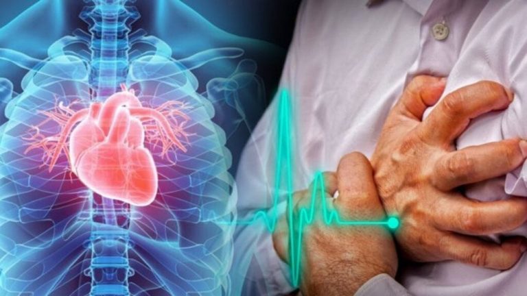 Pourquoi l'échographie cardiaque est-elle importante pour votre santé ...