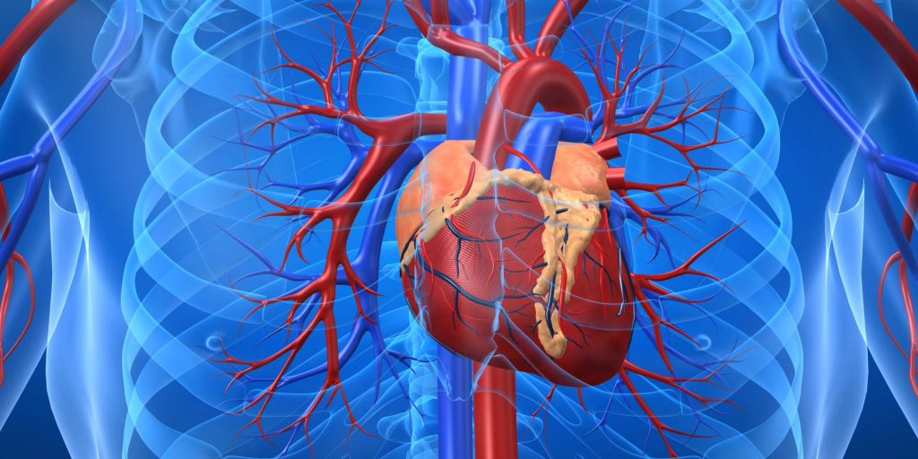 C’est quoi la maladie de berger ? - Docteurs Monkam